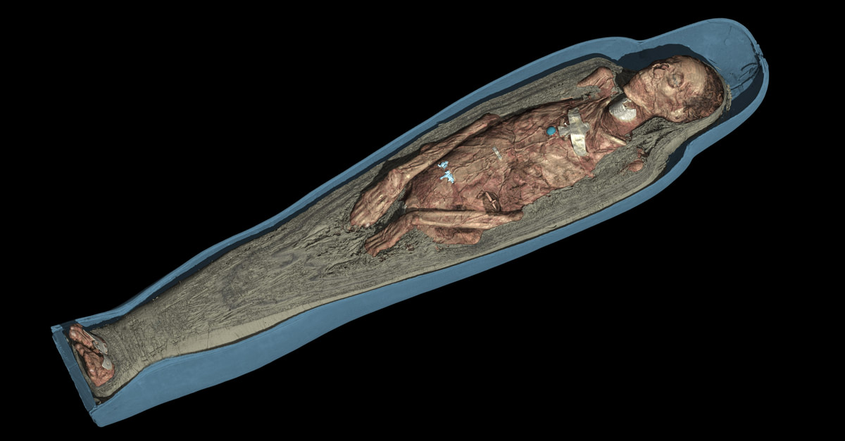 Visualization of the Body of Tamut - World History Encyclopedia
