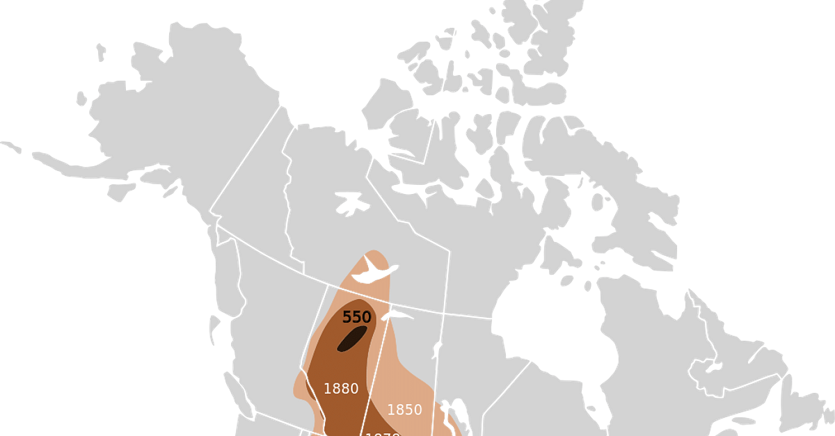 Map of the Extermination of the Bison - World History Encyclopedia