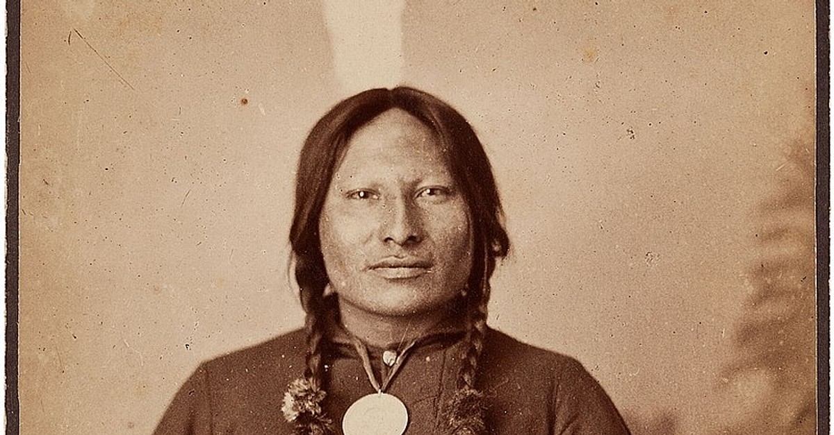 Sioux Warrior Rain-in-the-Face (Eastman's Biography) - World History ...