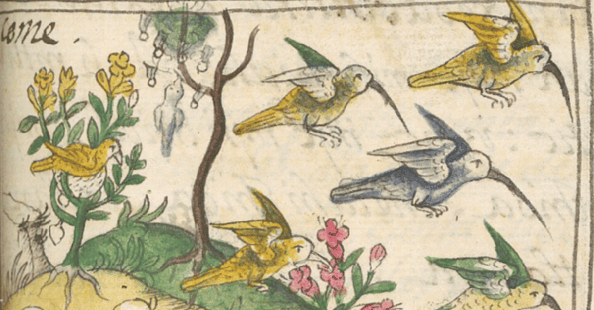 A Charm of Hummingbirds - World History Encyclopedia