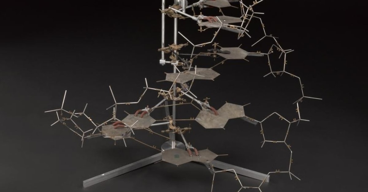 Modelo De Dna De James Watson