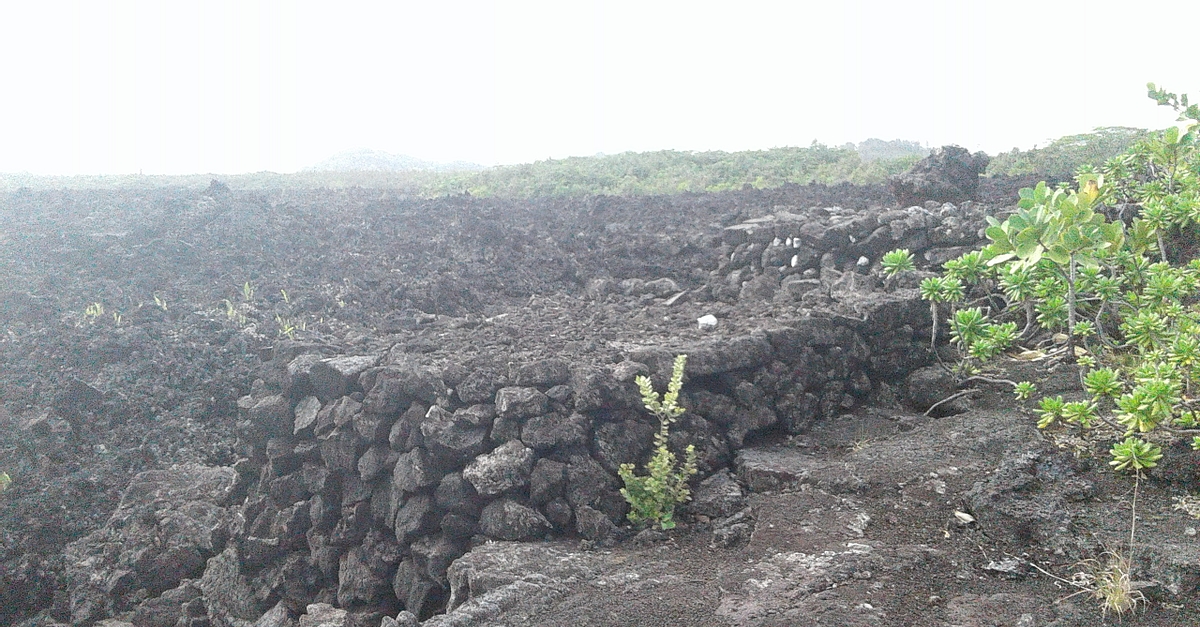 Kukii Heiau - World History Encyclopedia
