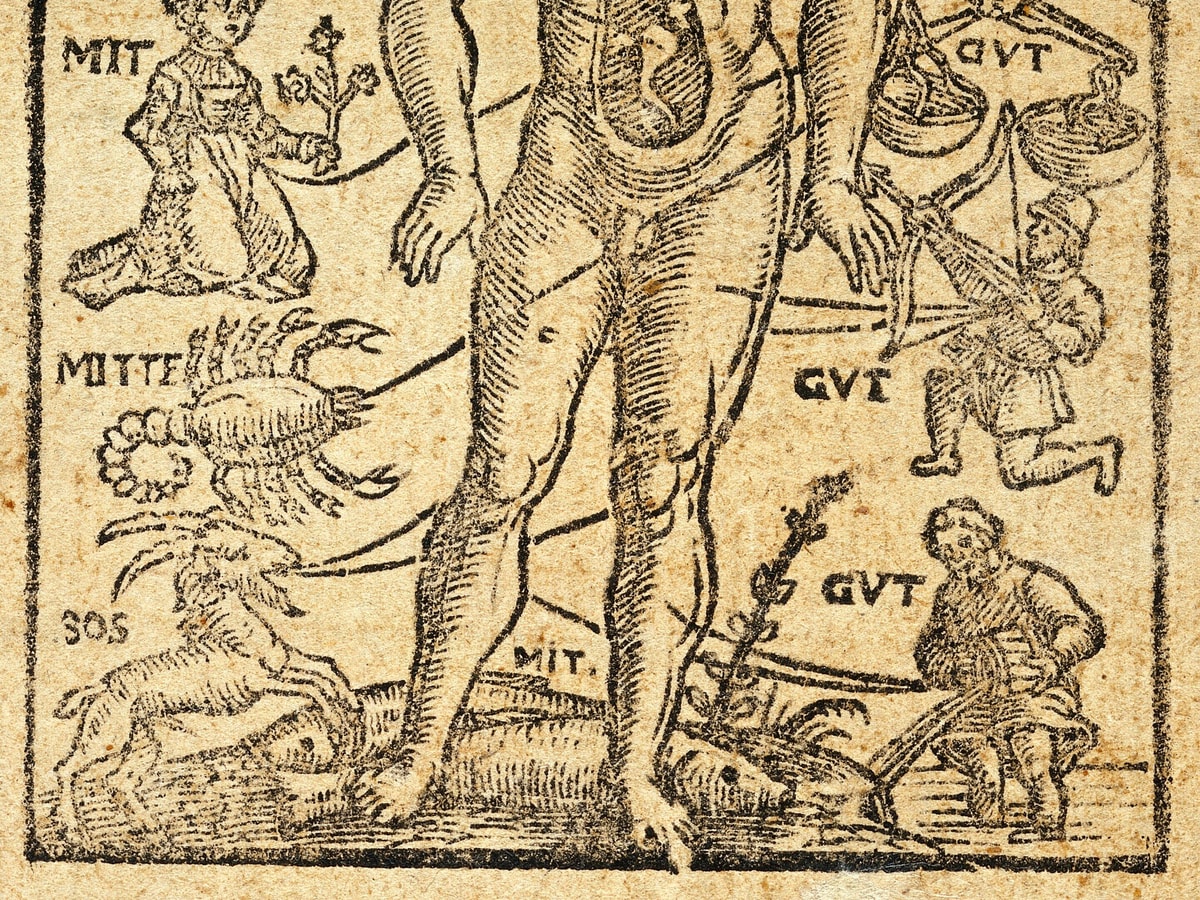 Zodiac man of signs 60 photos - Astrologytoyou.com
