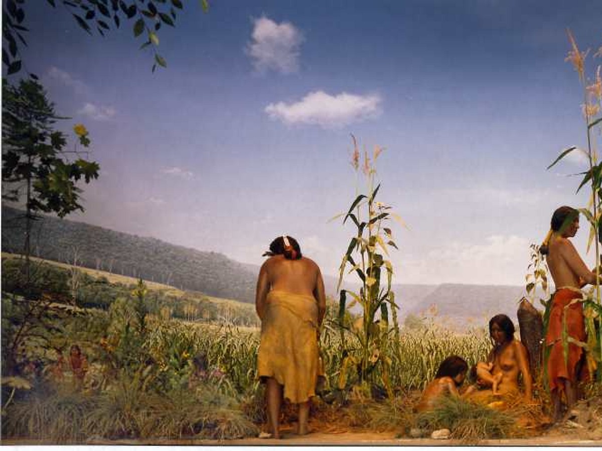 Iroquois Planting Crops