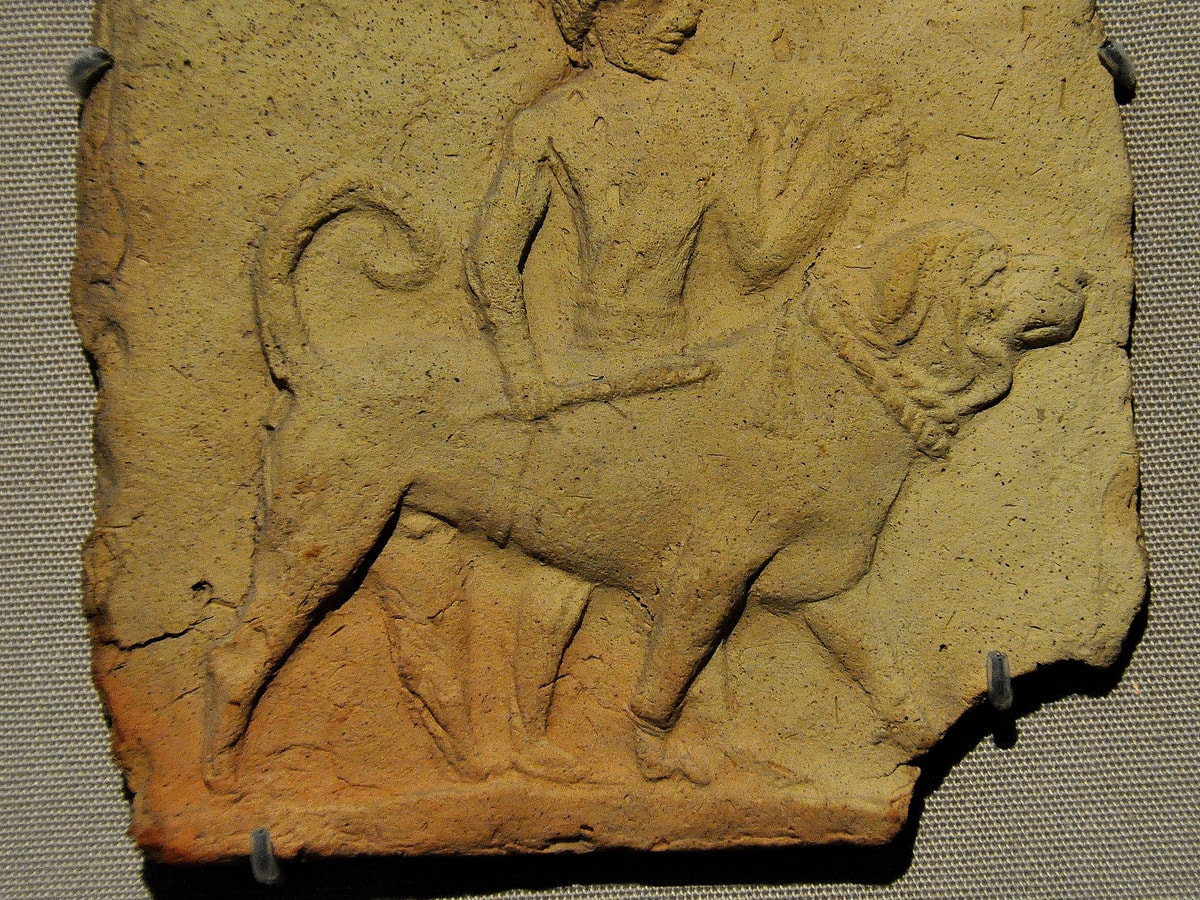 Domestication Of Animals In Mesopotamia Lion Hunts Of Ashurbanipal,