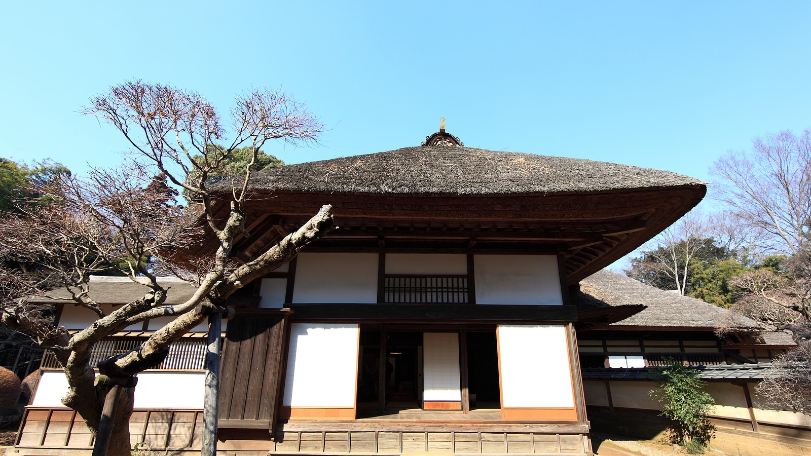 Japanese Traditional House Exterior