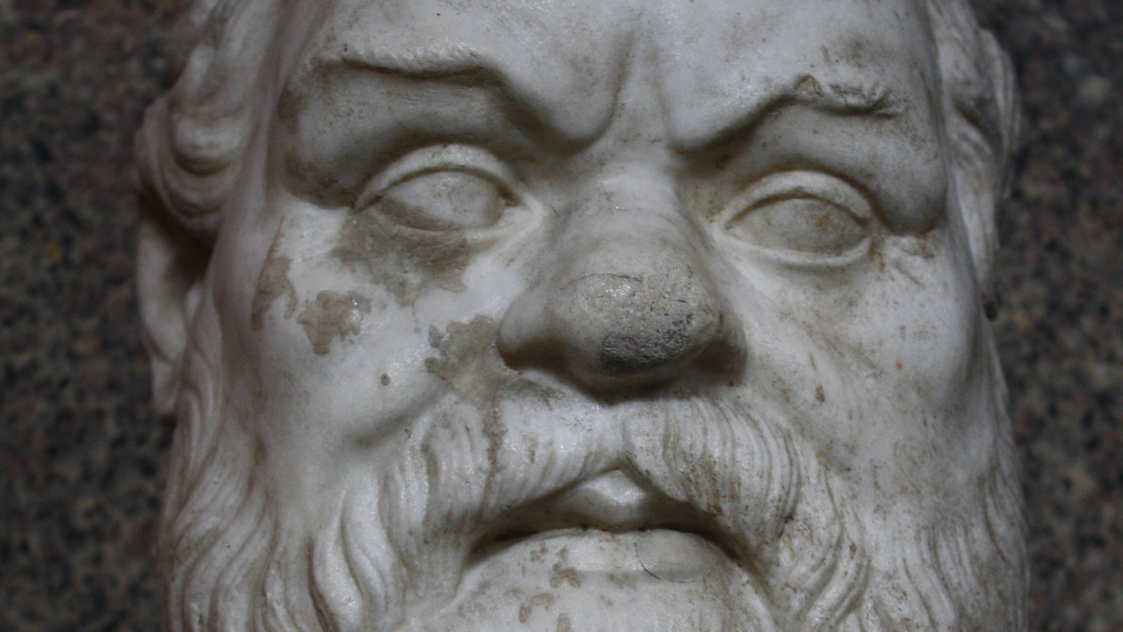 Marcus Marcus Estia Creations Socrates Sculpture Ancient Greek ...