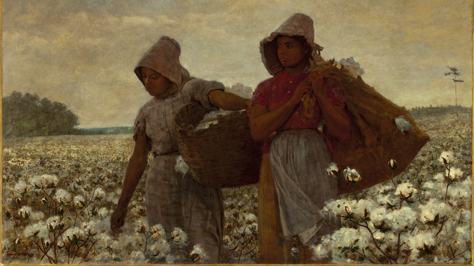 Slavery In The Colonies