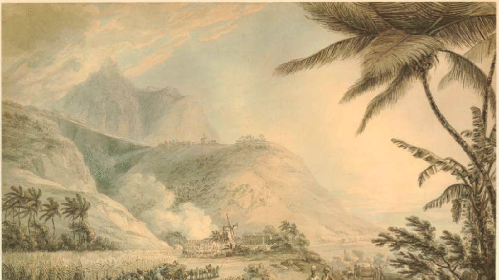 History Of Sugar Plantations In The Caribbean