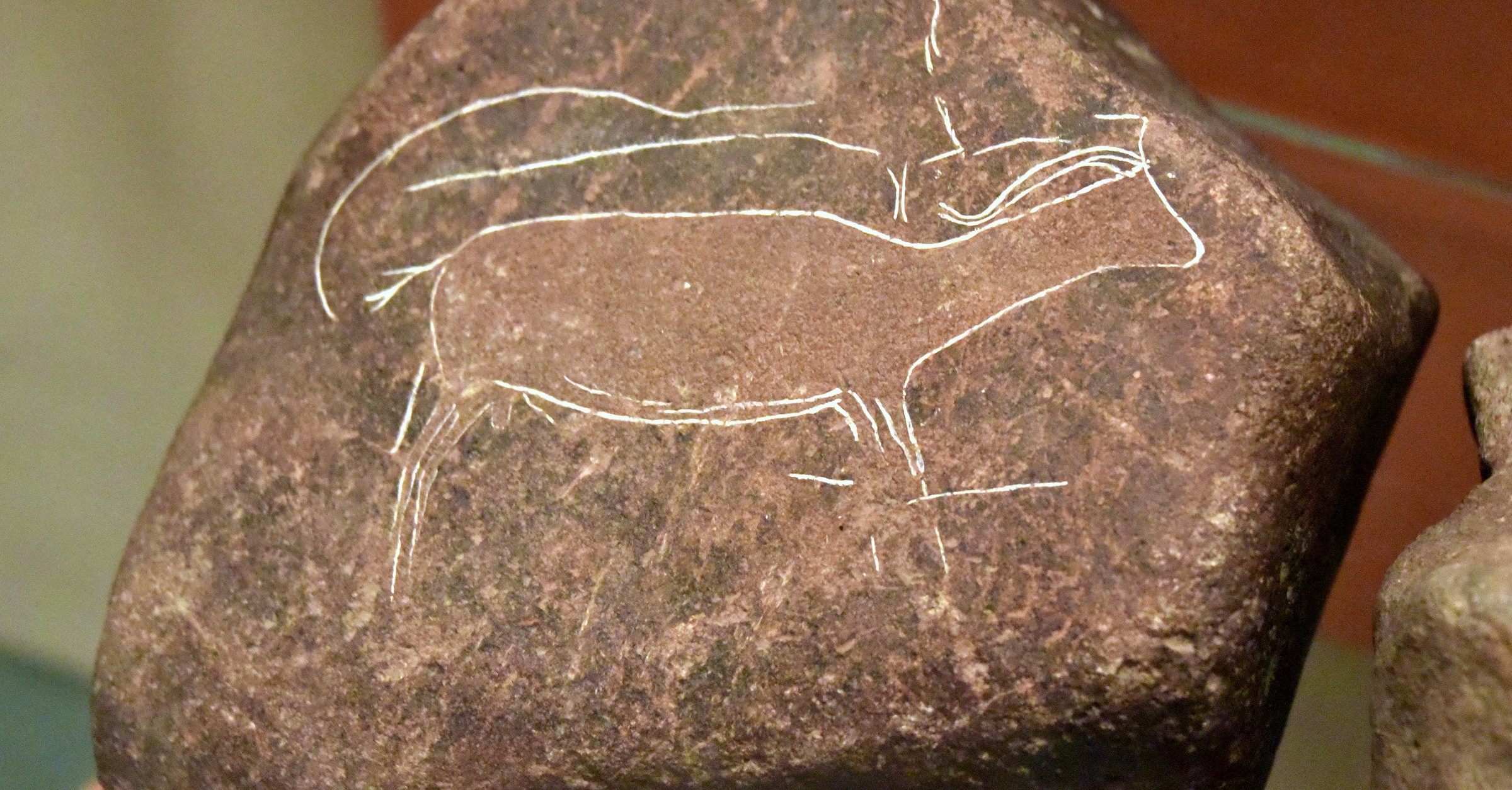 Rock Carved with an Animal Image from Dhuwayla - World History Encyclopedia