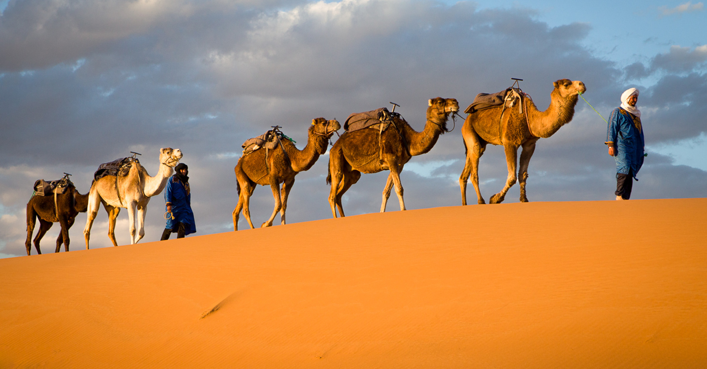 The Camel Caravans of the Ancient Sahara - World History Encyclopedia