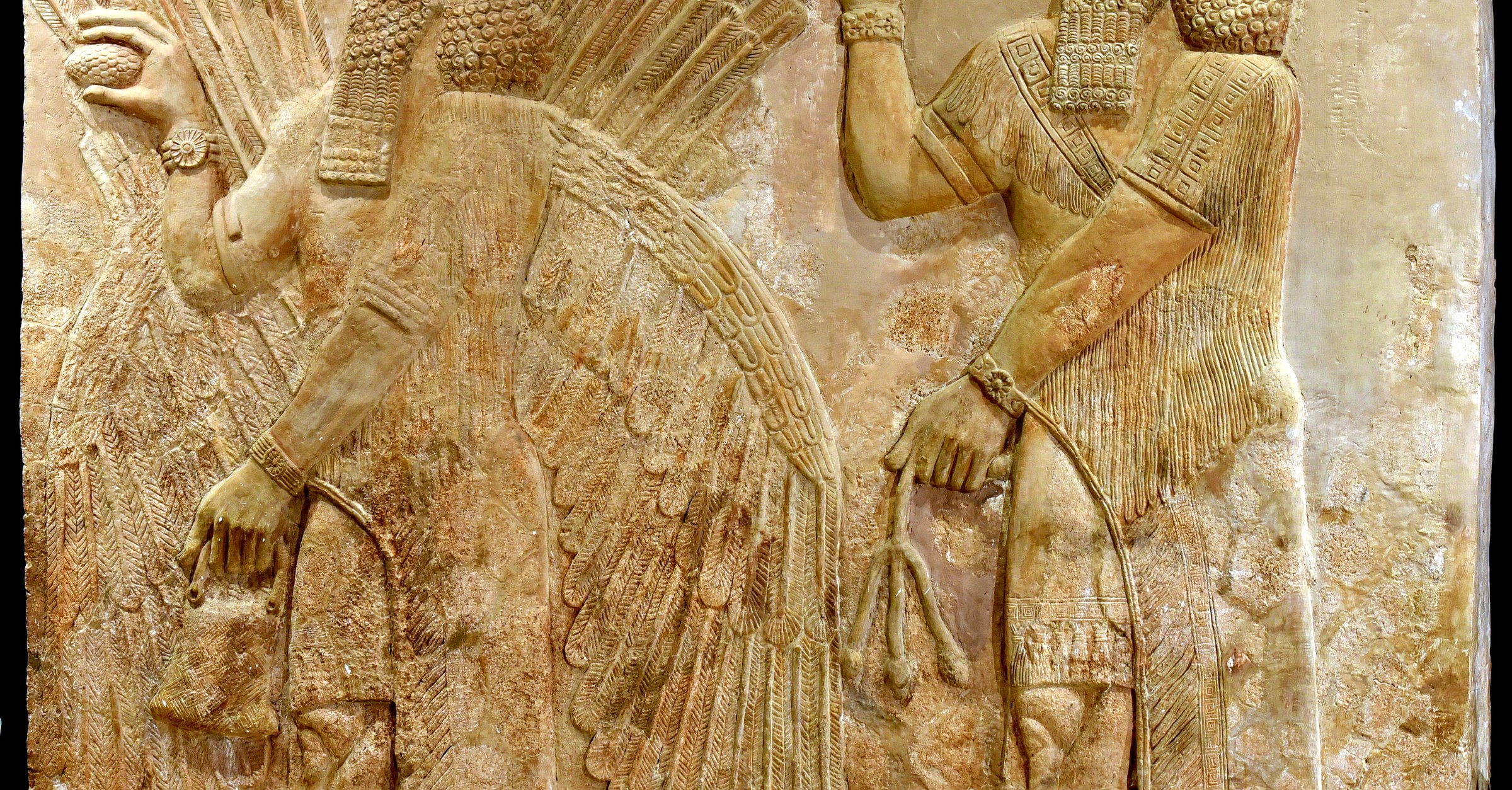 Apkallu from Khorsabad - World History Encyclopedia