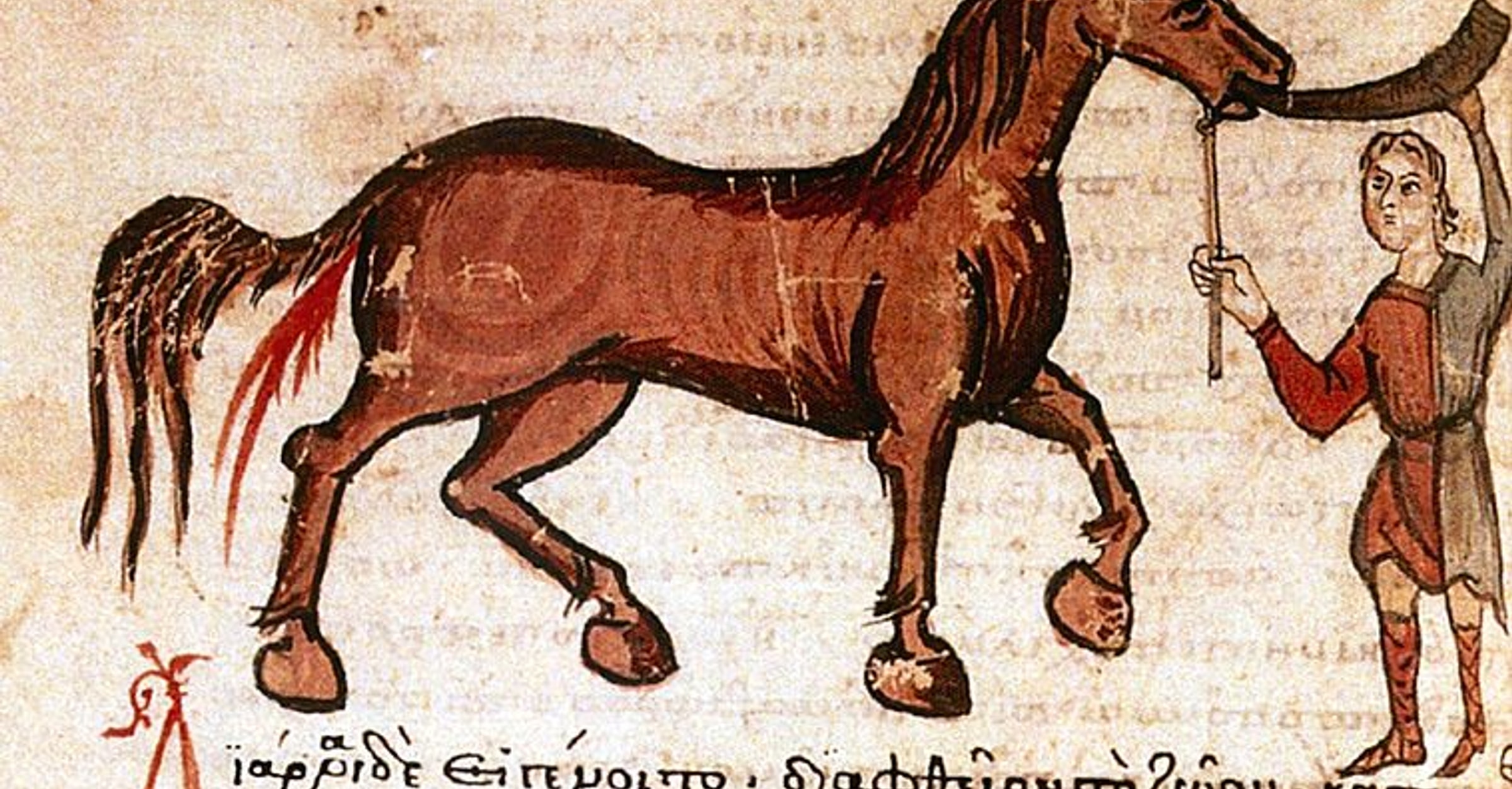A Brief History of Veterinary Medicine - World History Encyclopedia