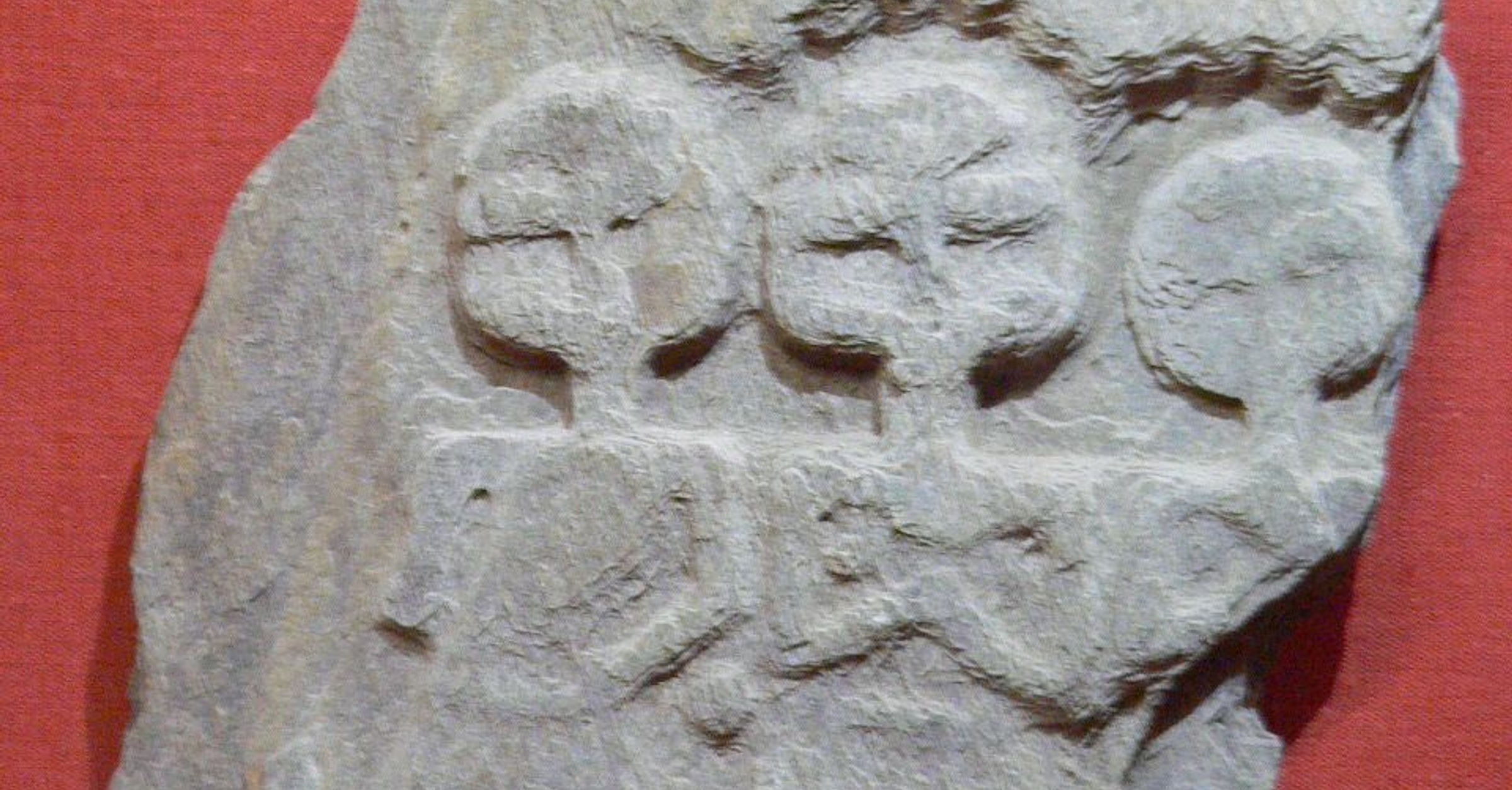 The Mórrigan - World History Encyclopedia
