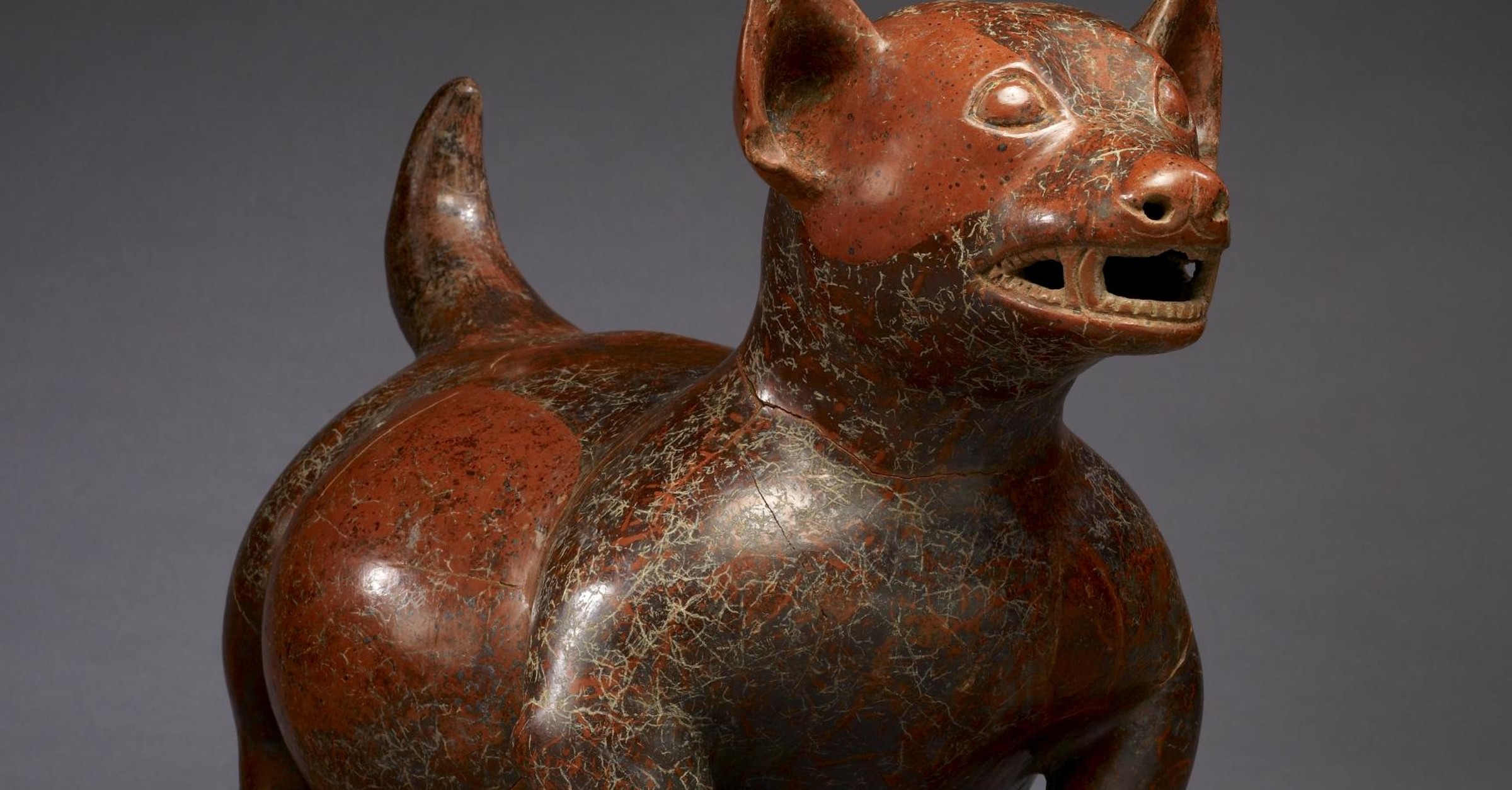 Dogs and Their Collars in Ancient Mesoamerica - World History Encyclopedia