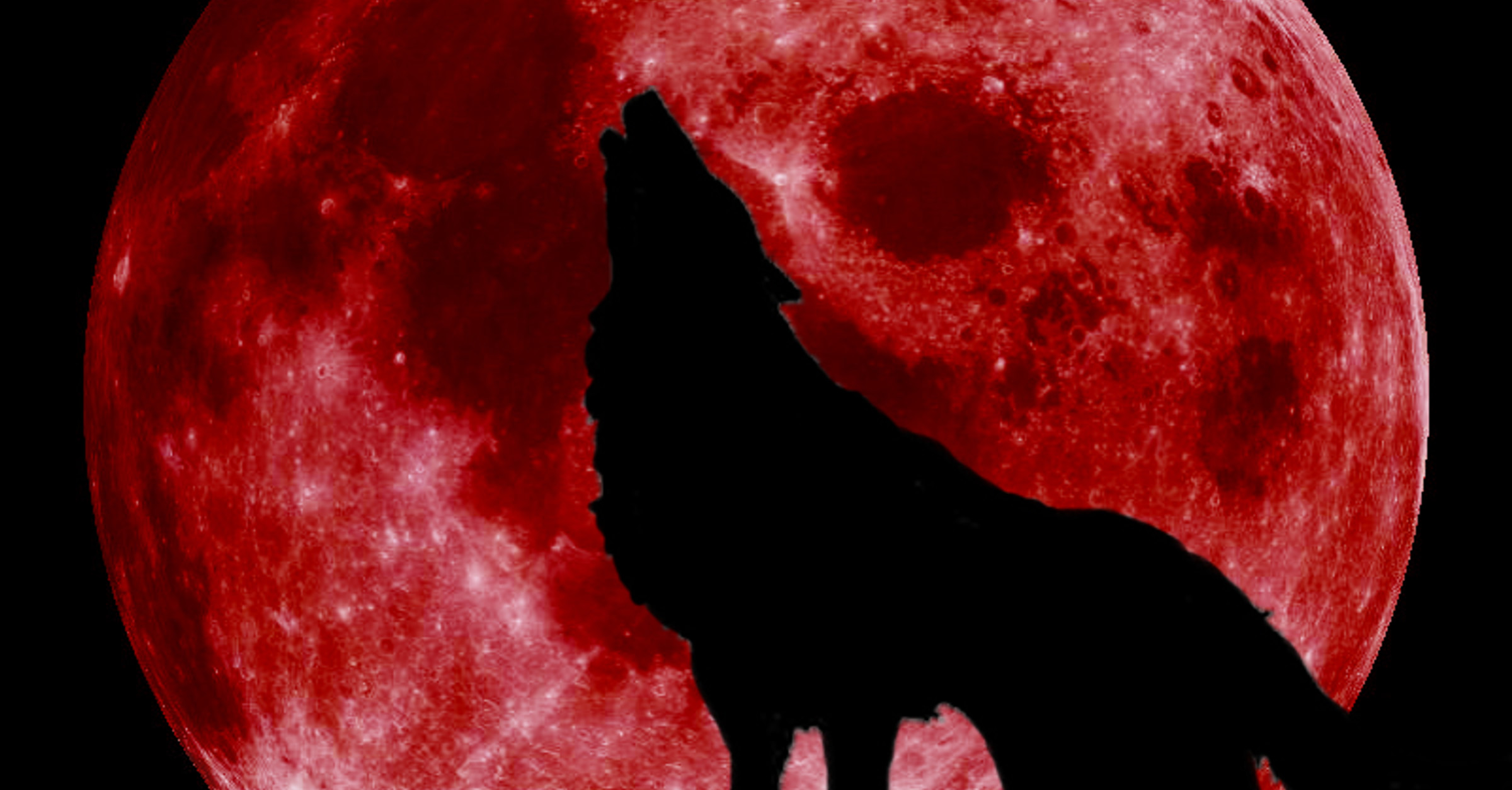 Interview: The Werewolf in the Ancient World by Daniel Ogden - World ...