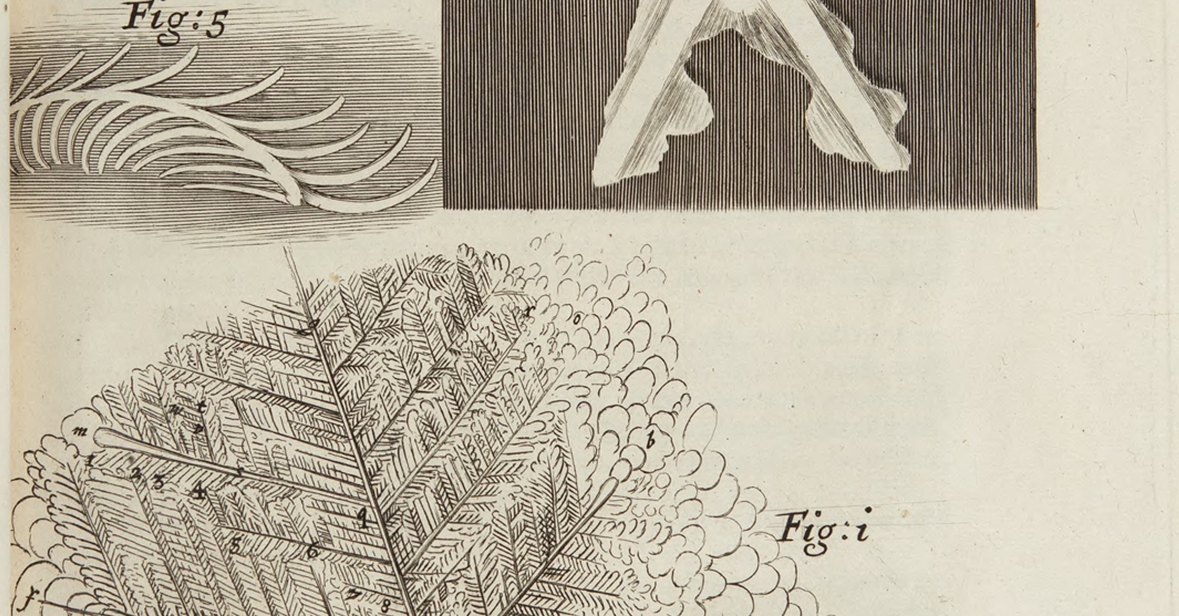 Frozen Structures under Microscope - World History Encyclopedia
