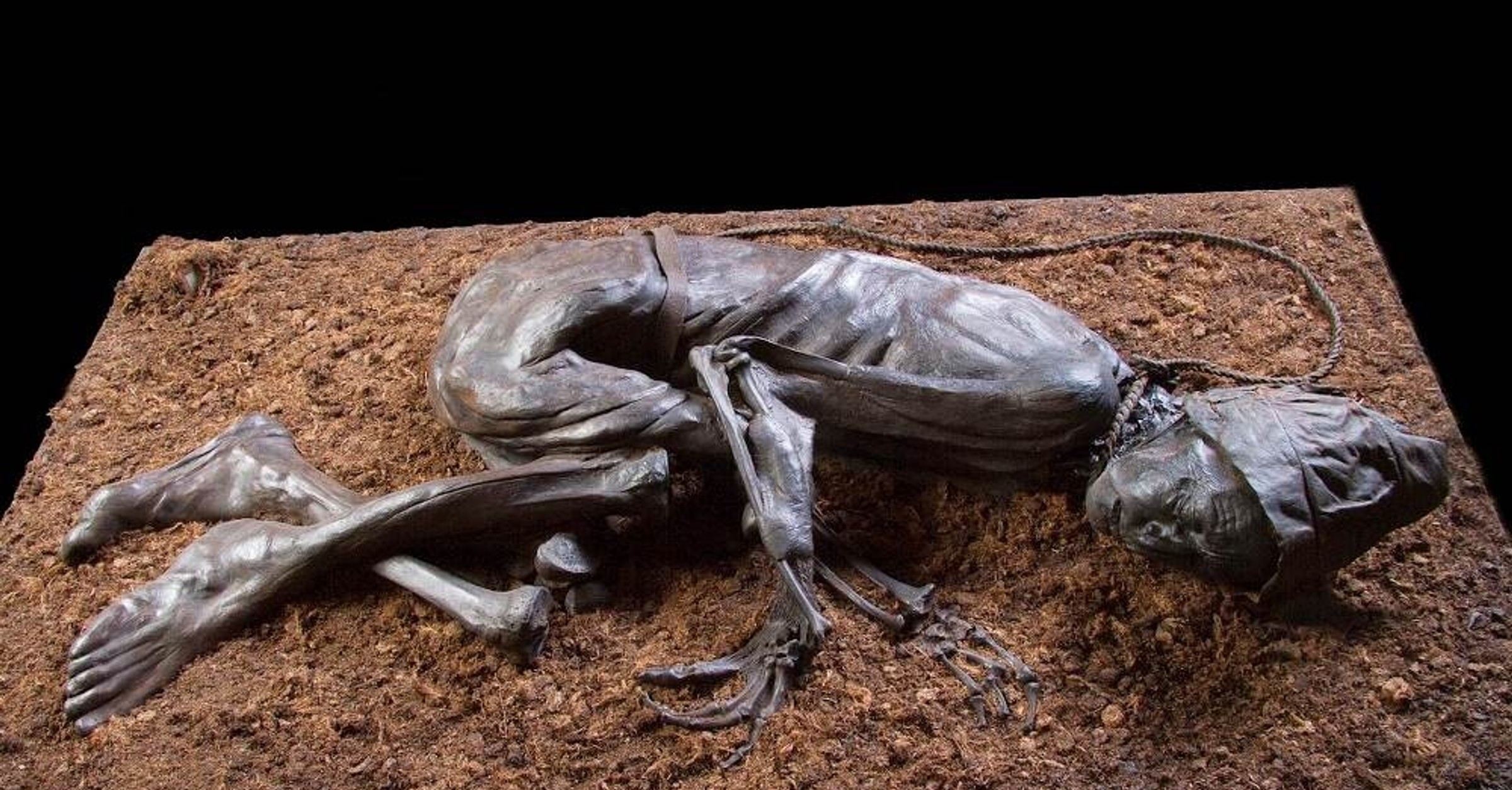 The Tollund Man - World History Encyclopedia