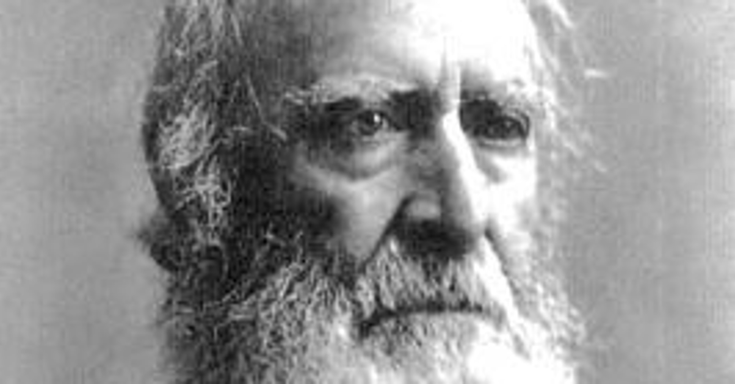 Frank W. Johnson: Commander of the Texian Militia at Anahuac - World ...