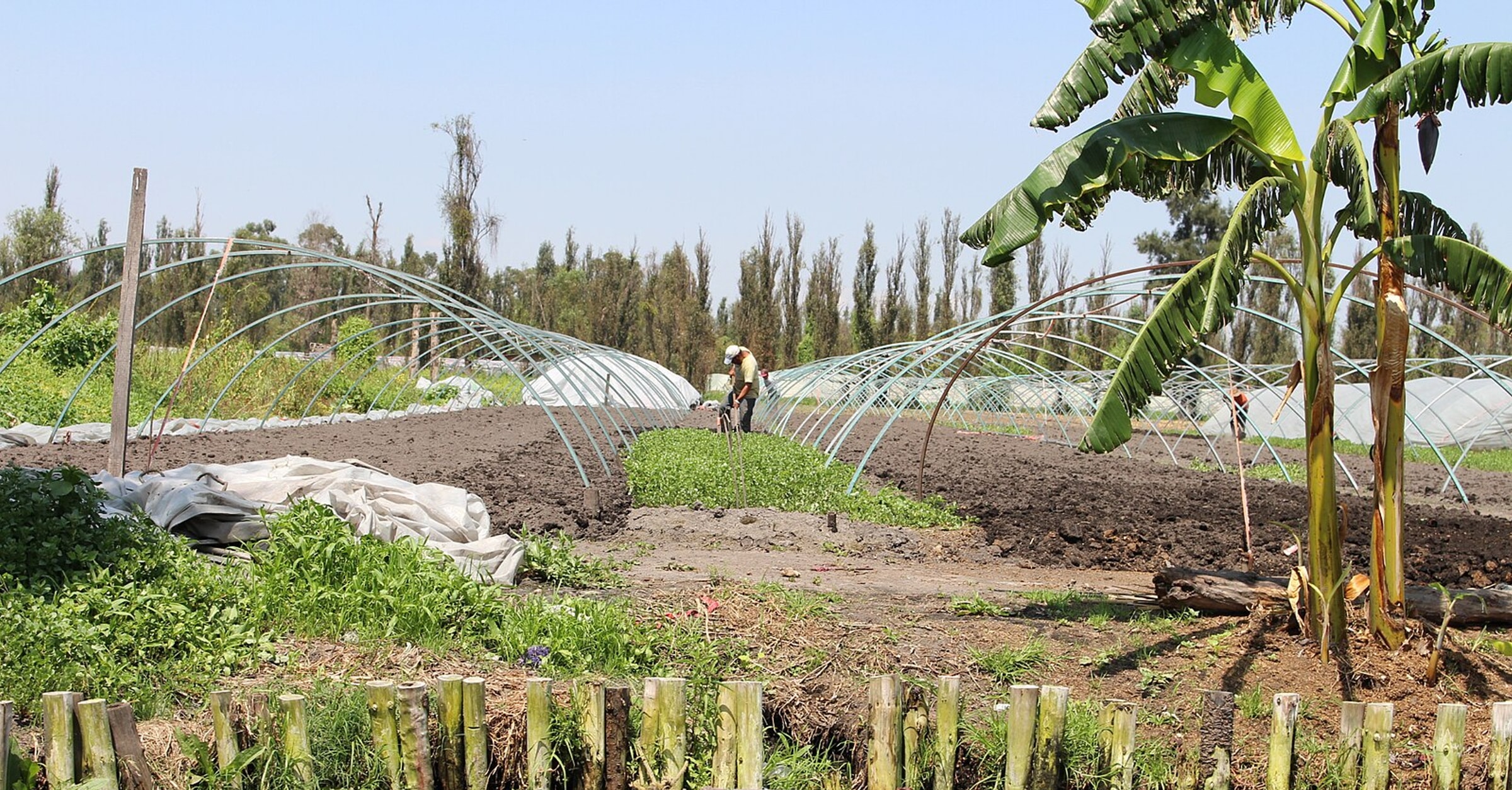 Aztec Floating Gardens Facts