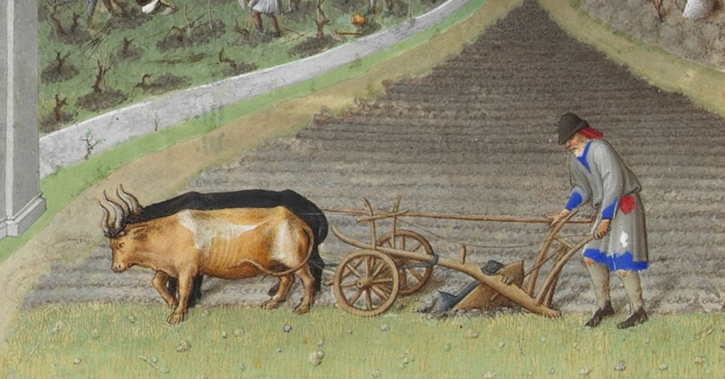 Peasant Life in a Medieval Manor: The Family of Bodo, Carolingian ...