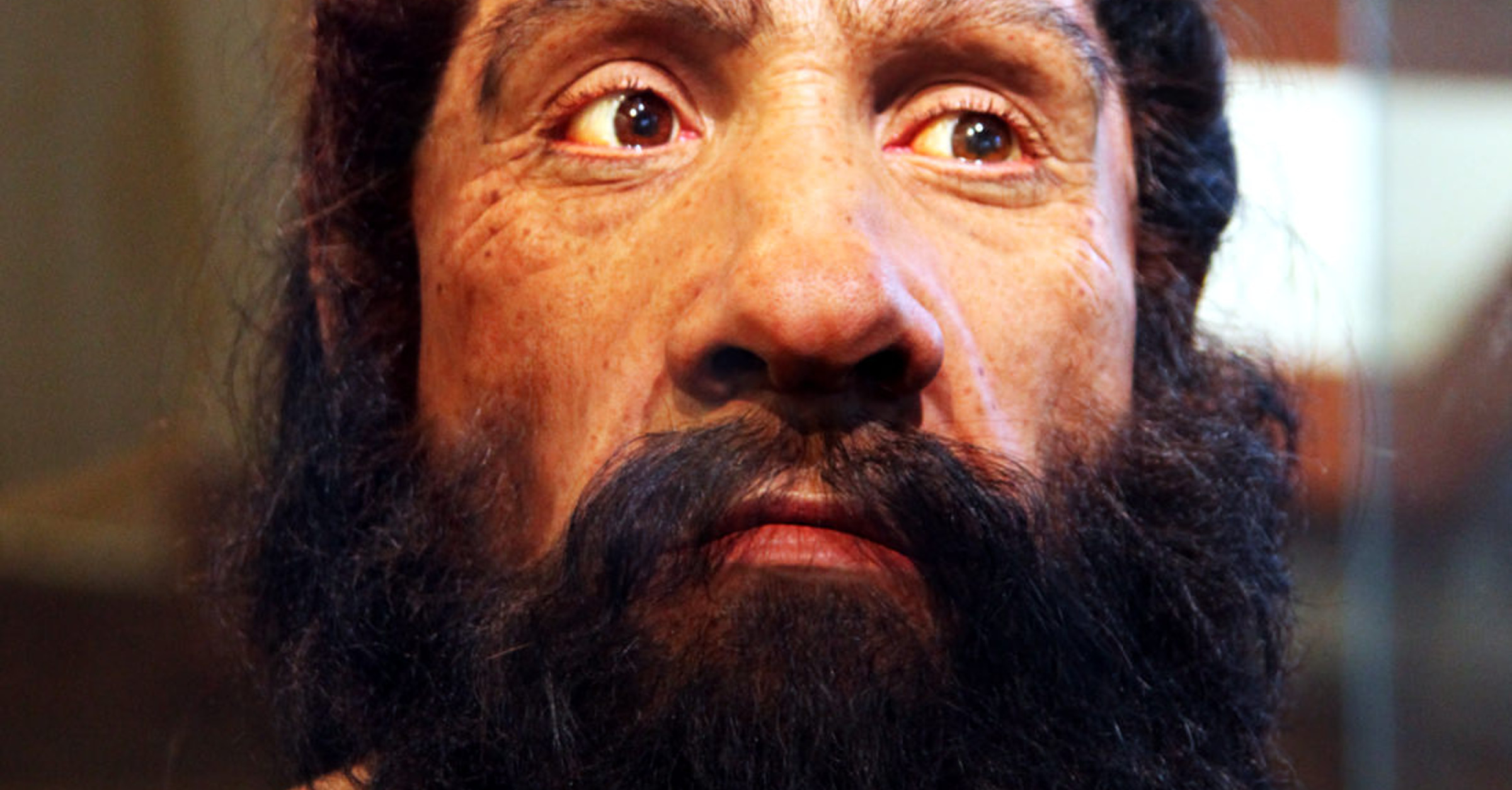 Timeline: Neanderthal