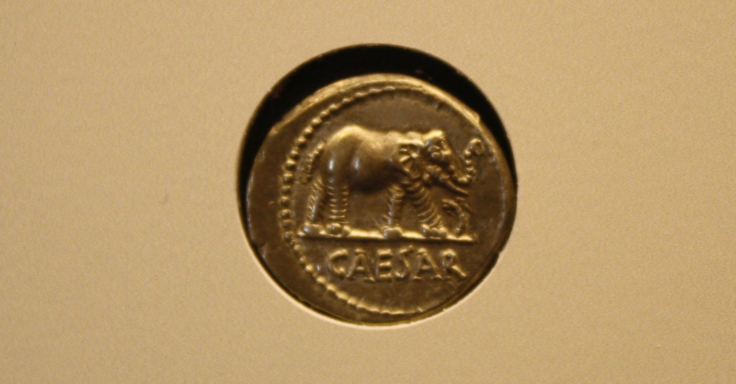 Coin of Julius Caesar with Elephant - World History Encyclopedia