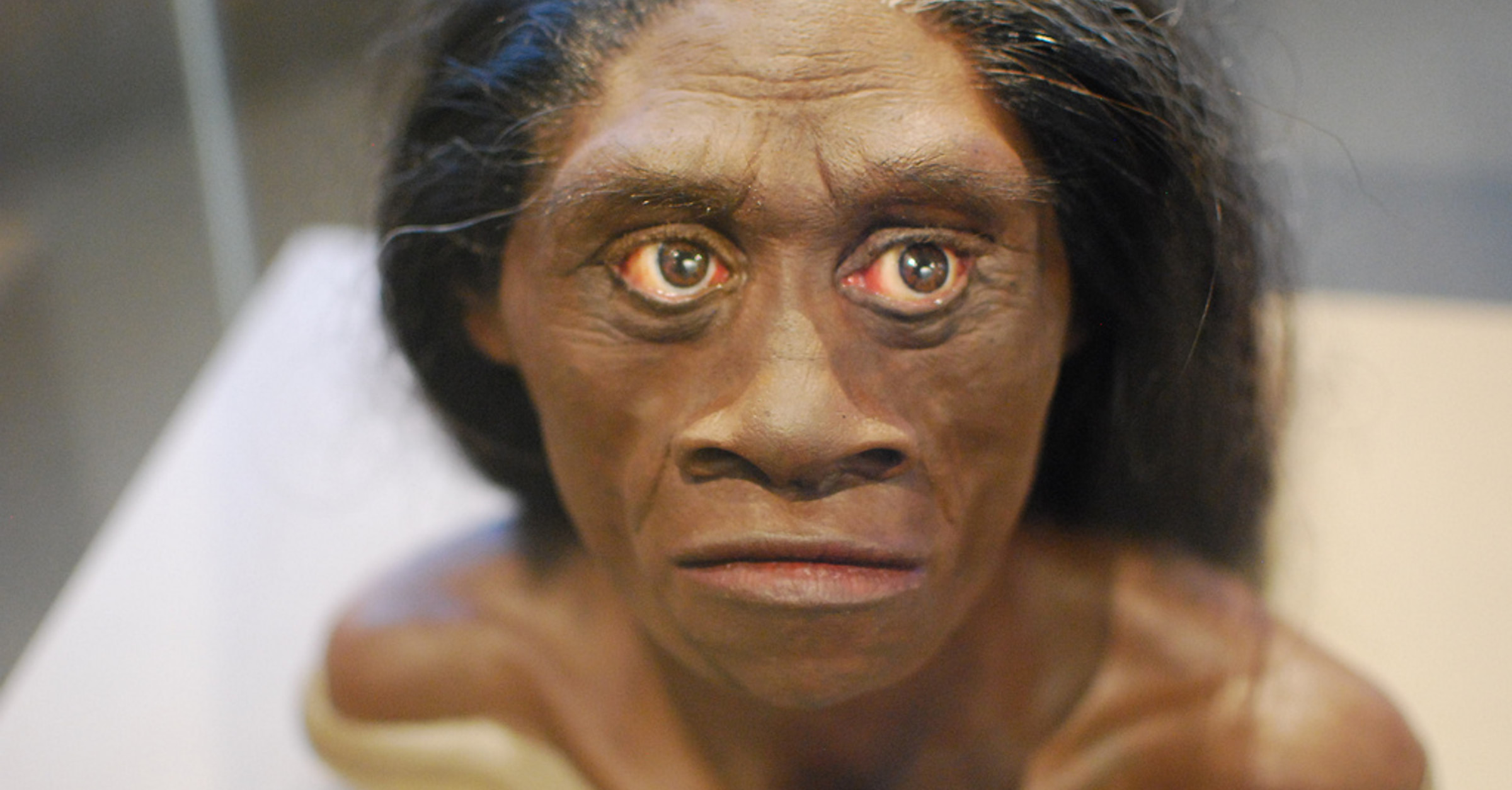 Homo floresiensis - Enciclopedia de la Historia del Mundo