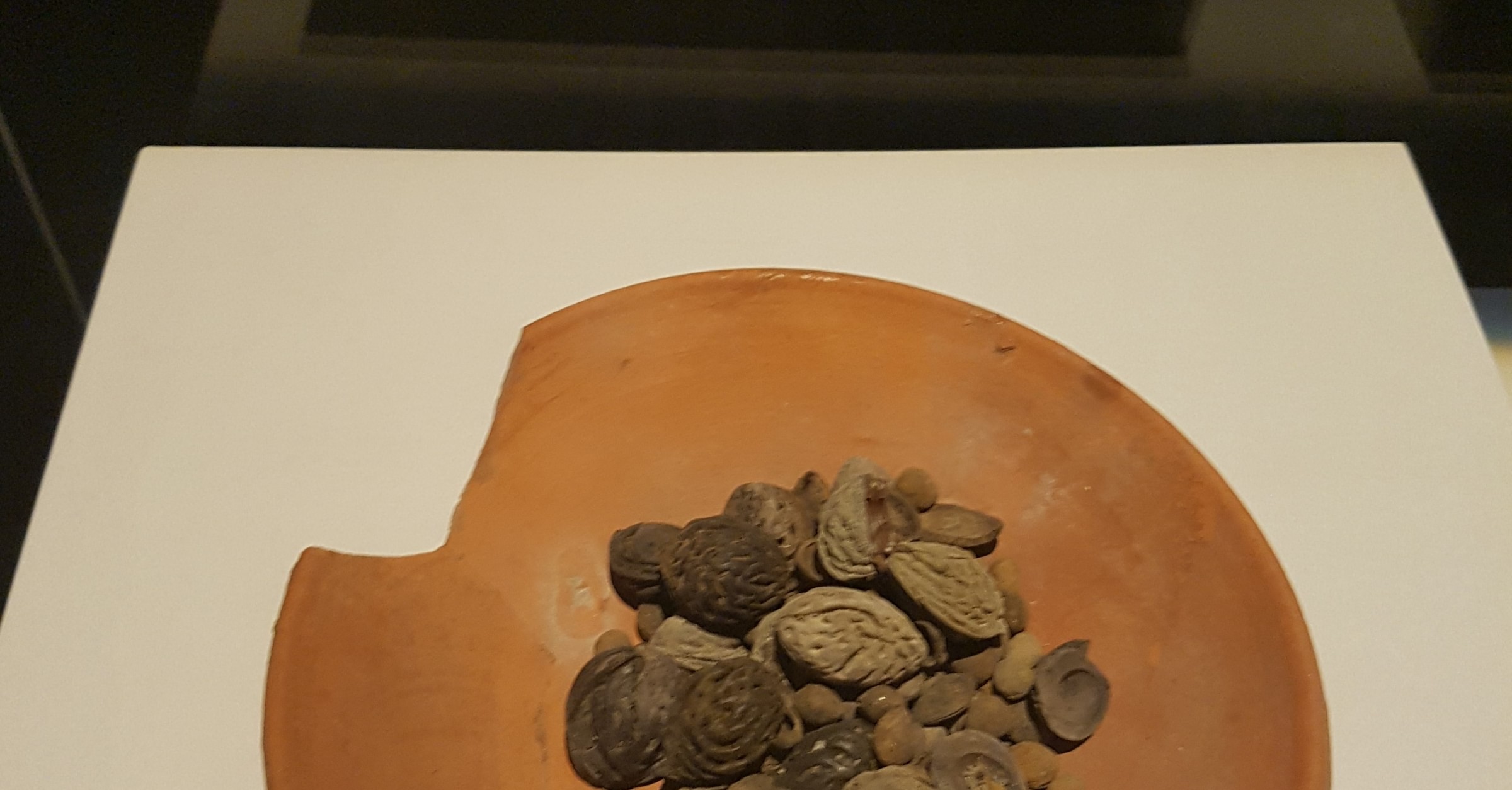 Roman Plate with Fruit Seeds - World History Encyclopedia