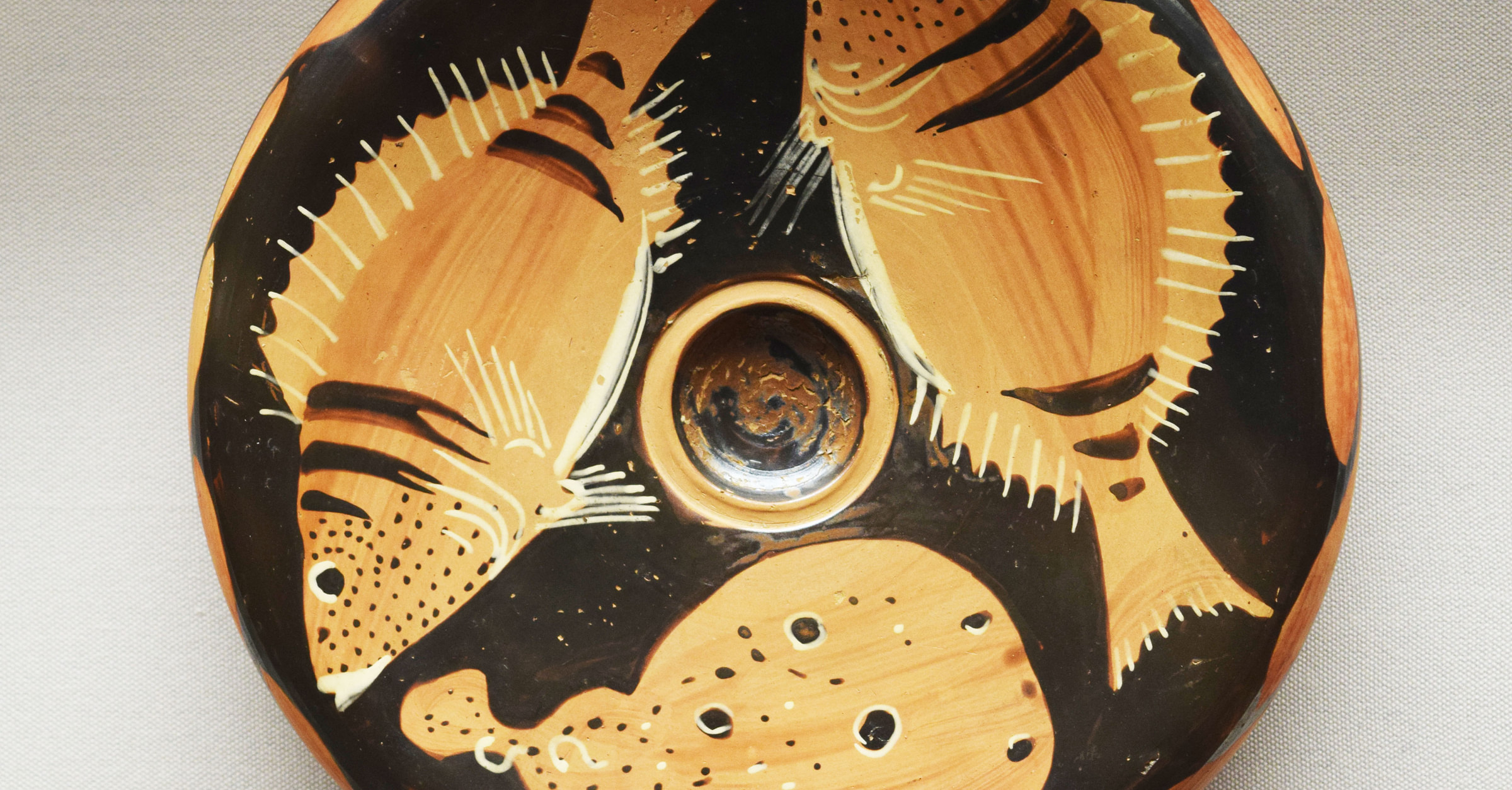 Ancient Fish Plate from Campania - World History Encyclopedia