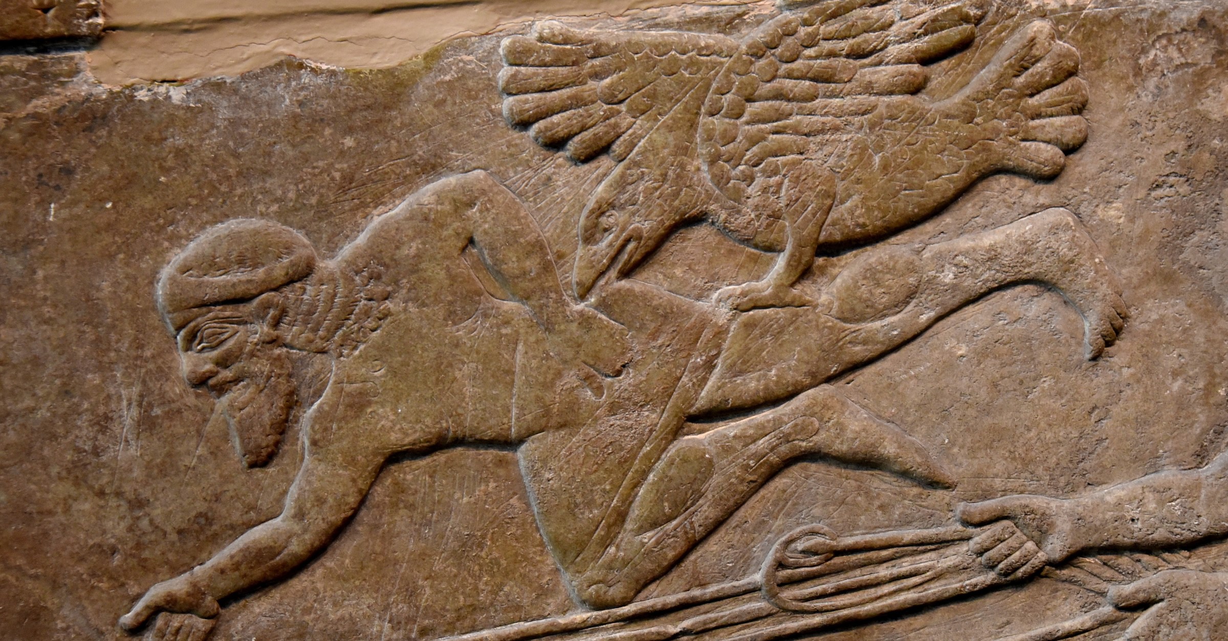 Predator Bird Attacks a Soldier - World History Encyclopedia