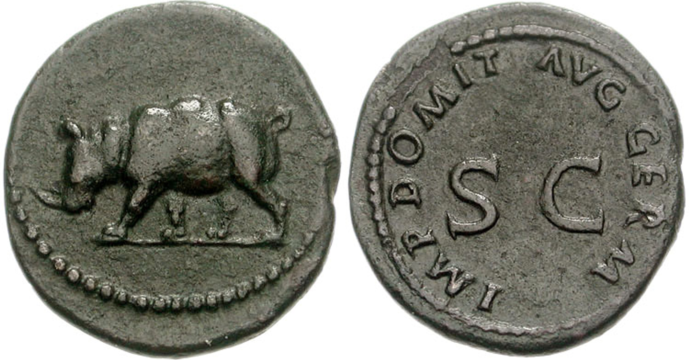 Imperial Roman Coin Portraying a Rhinoceros - World History Encyclopedia