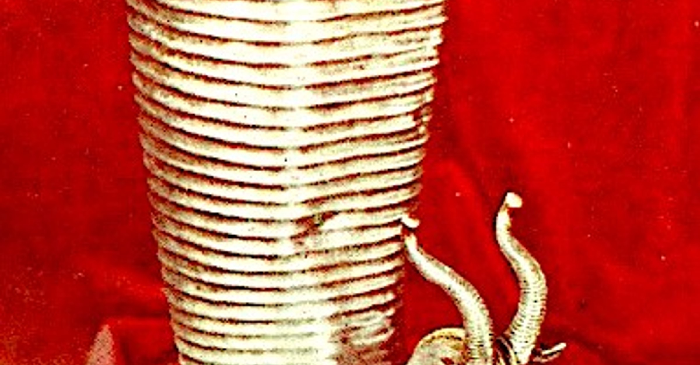 Orontid Dynasty - World History Encyclopedia