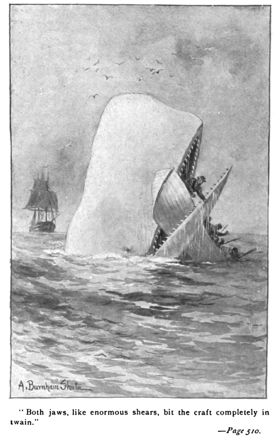 Illustration De Baleine Moby Dick